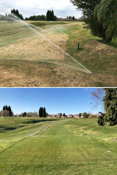 It’s Johnsons Sports Seed to the rescue at Reddish Vale Golf Club